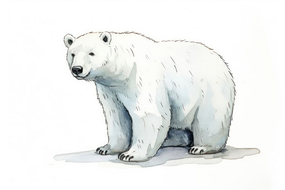 Chubby polar bear wildlife cartoon | Premium Photo Illustration - rawpixel
