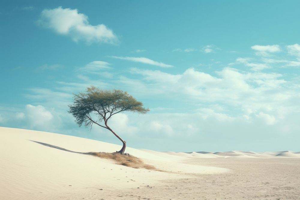 Sand tree landscape outdoors. AI | Free Photo - rawpixel