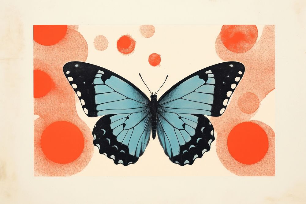 Butterfly art animal insect | Free Photo Illustration - rawpixel