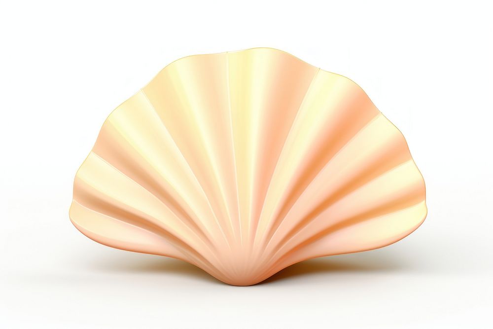 Cartoon sea shell white background | Premium Photo Illustration - rawpixel