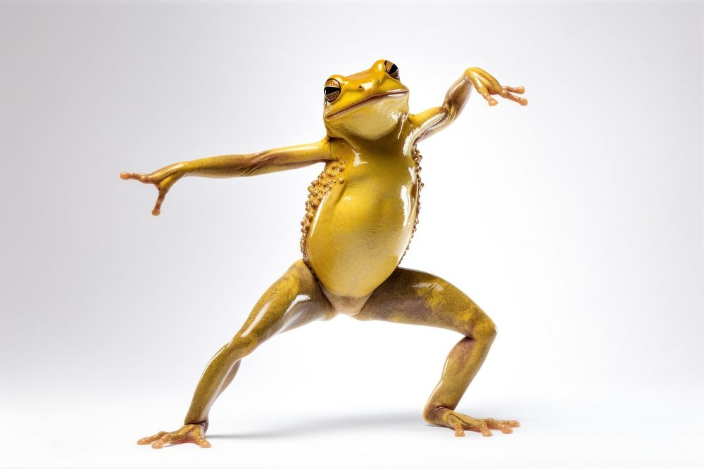 Happy smiling frog dancing amphibian | Free Photo - rawpixel