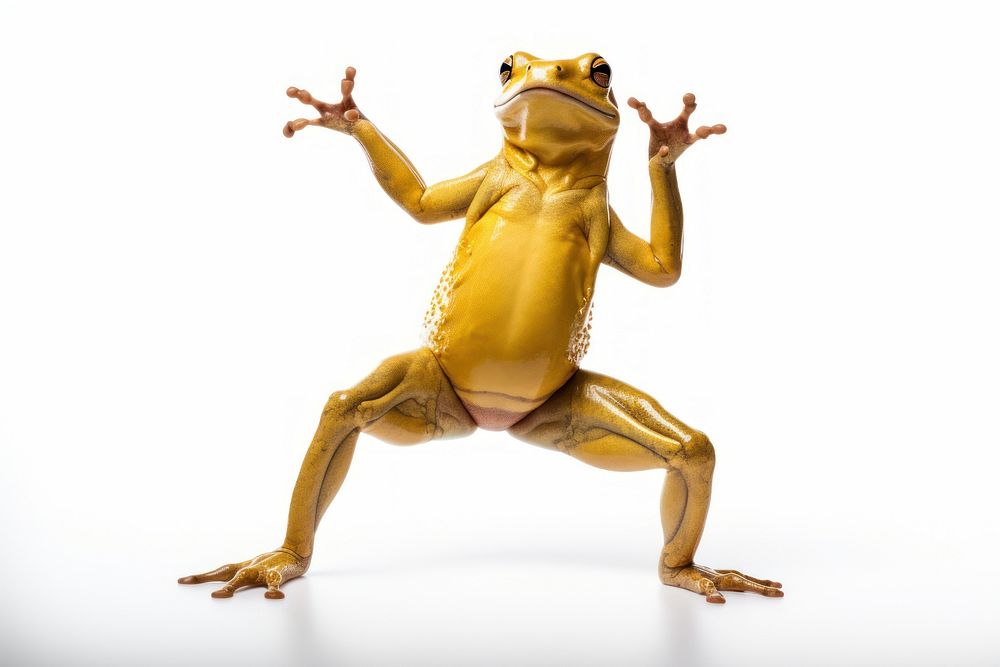 Happy smiling frog dancing amphibian | Free Photo - rawpixel
