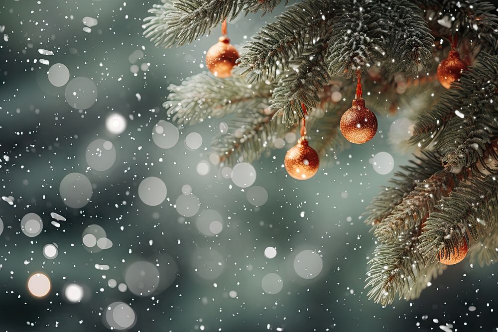 Christmas tree branches christmas outdoors | Free Photo - rawpixel