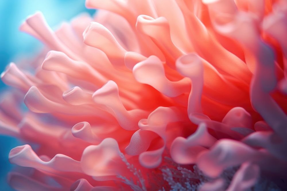 Coral backgrounds underwater outdoors | Free Photo - rawpixel