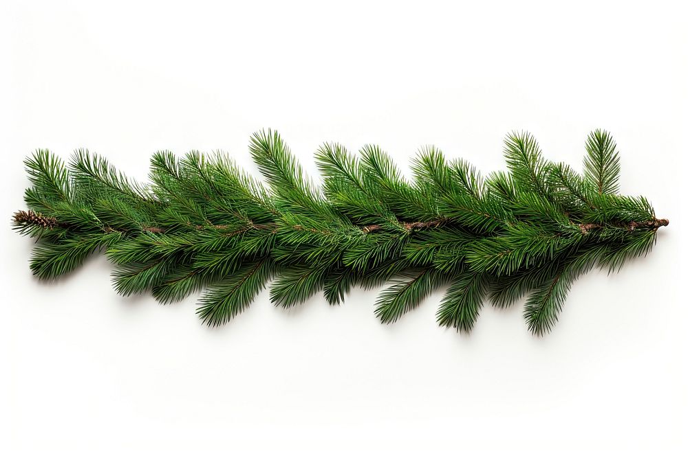 Straight christmas tree pine garland | Premium Photo - rawpixel