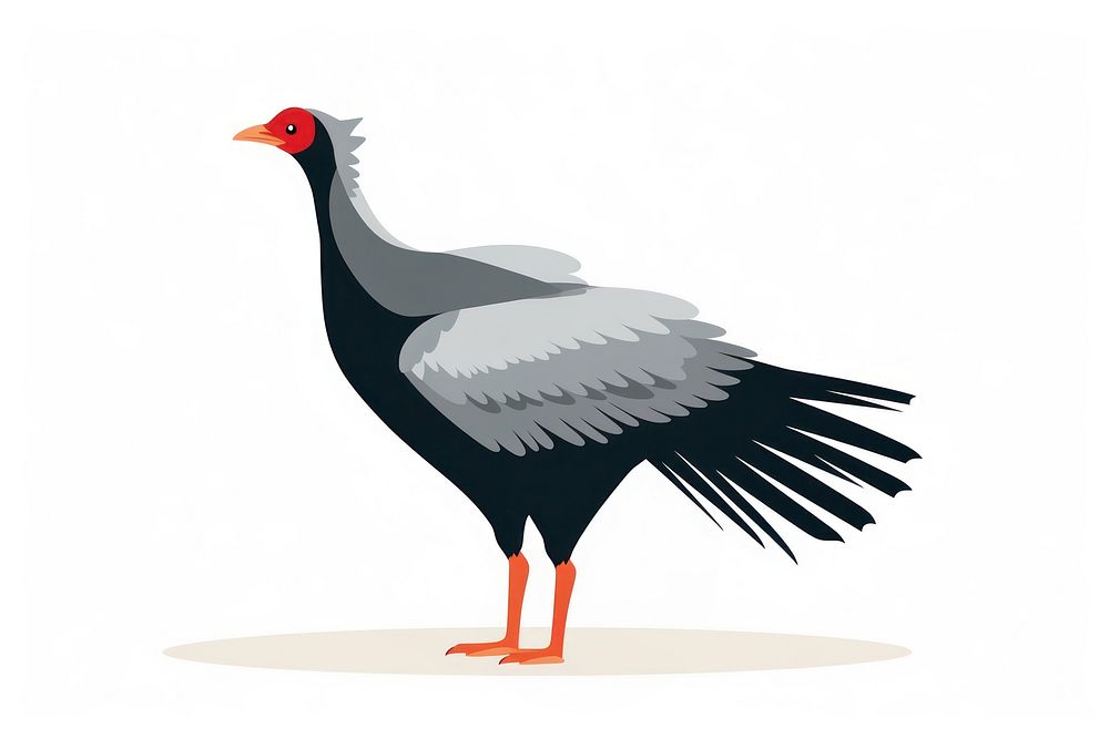 northern screamer bird animal beak. | Premium Photo Illustration - rawpixel