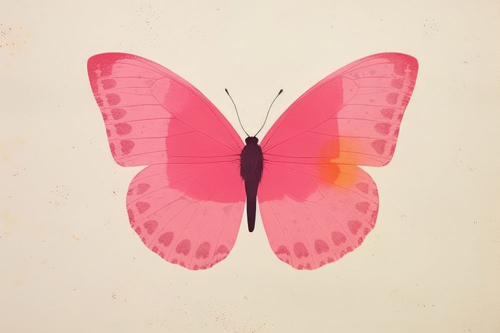 Pink butterfly animal insect invertebrate. | Free Photo Illustration ...