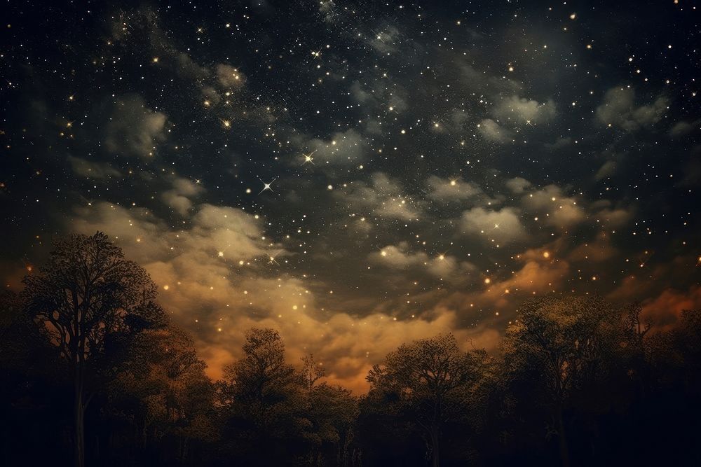 Night sky landscape astronomy outdoors. | Premium Photo - rawpixel