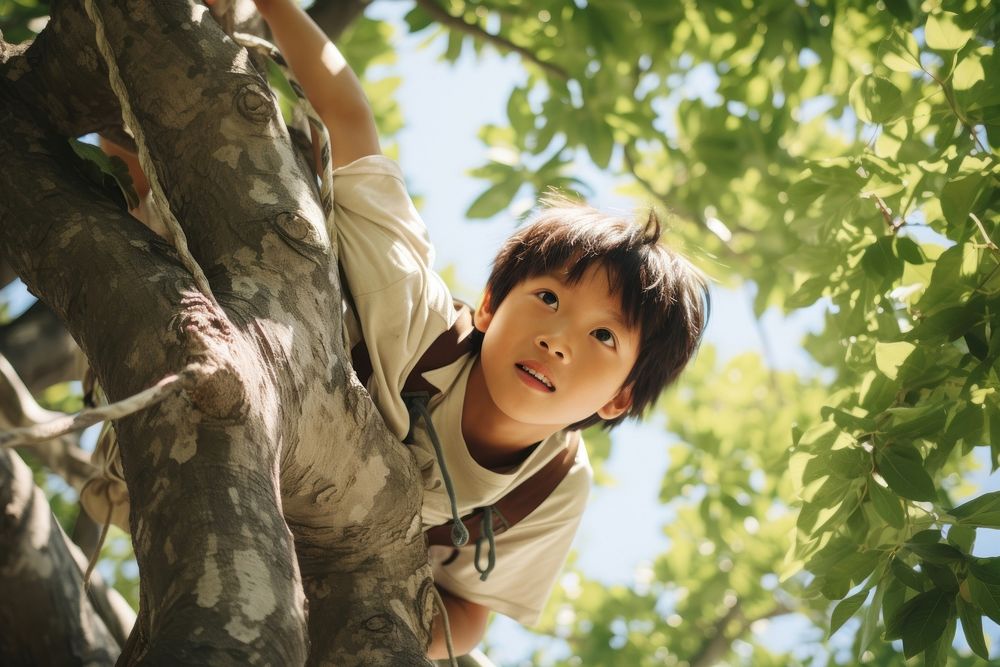 Asian boy kids climbing trees | Free Photo - rawpixel