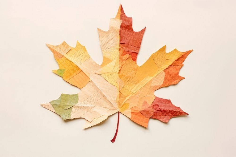 Leaf maple plant paper tree. | Premium Photo Illustration - rawpixel