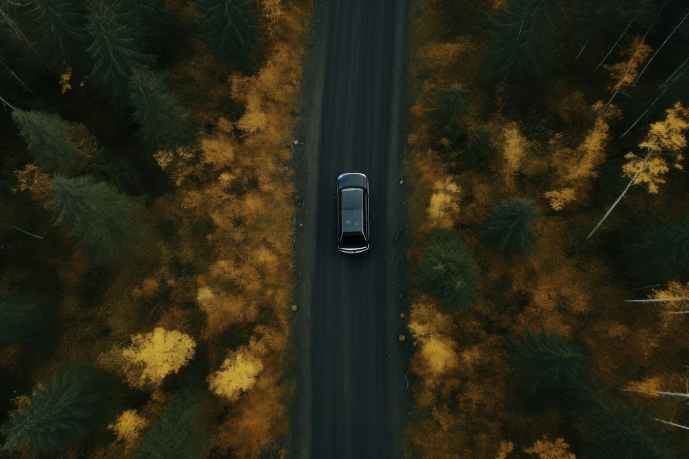 Car driving forest outdoors vehicle. | Free Photo - rawpixel