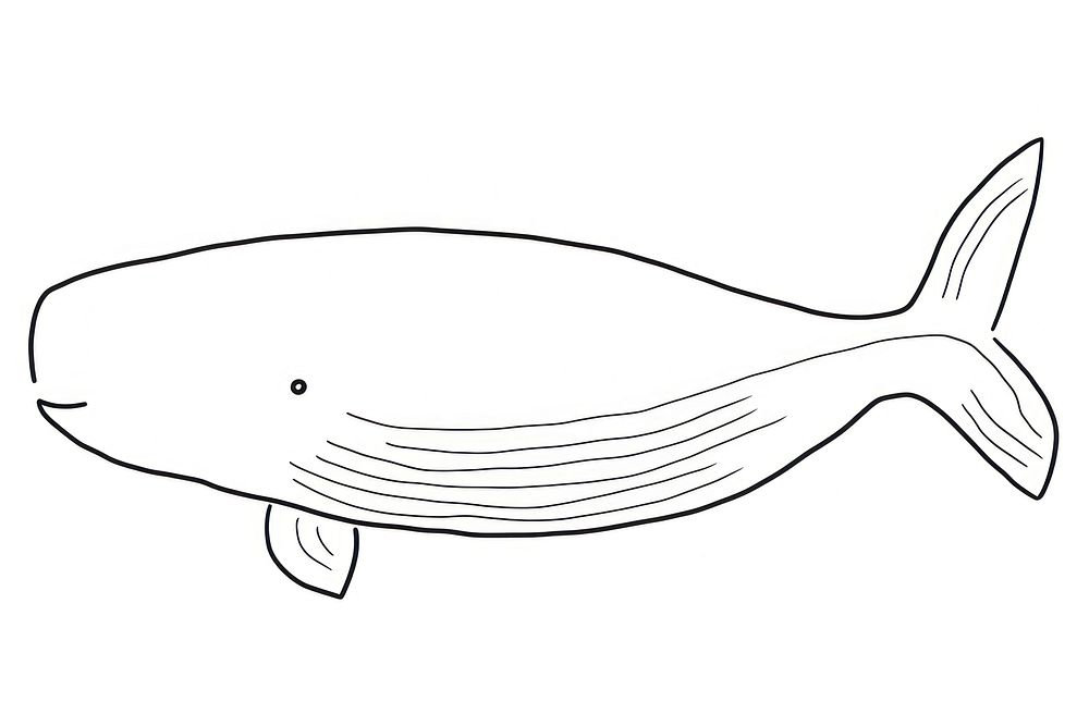 Minimal illustration whale drawing animal | Premium Photo Illustration ...