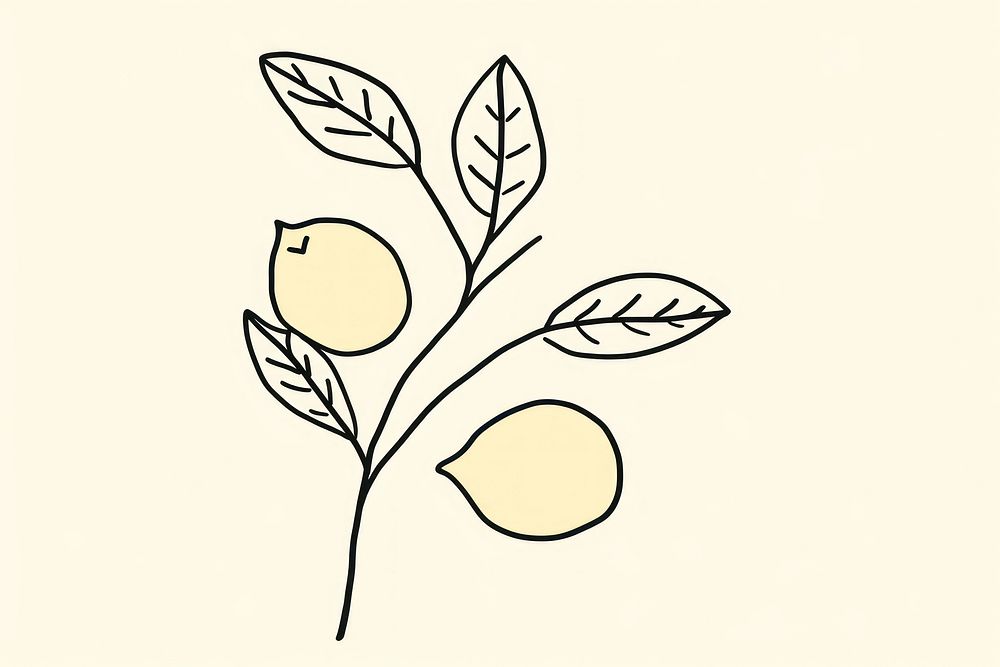 Minimal illustration lemon branch drawing | Free Photo Illustration ...