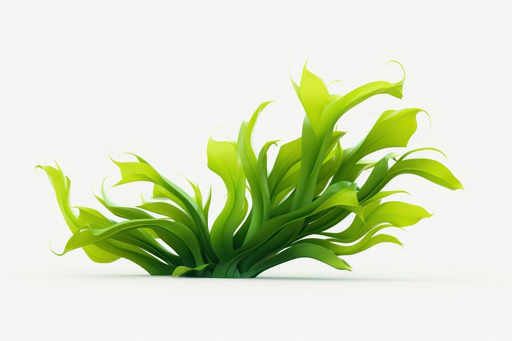 Seaweed plant green leaf. AI | Free Photo Illustration - rawpixel