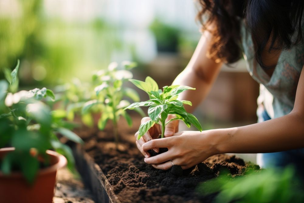 Woman planting garden gardening outdoors. | Free Photo - rawpixel