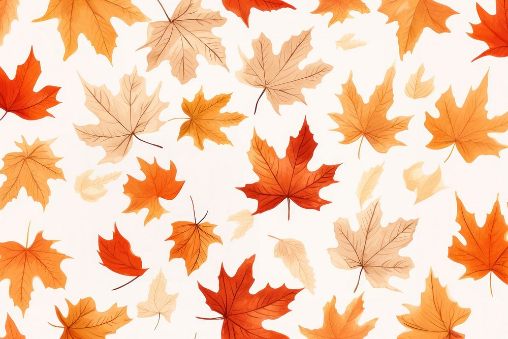 Maple leaf pattern plant tree. | Free Photo Illustration - rawpixel