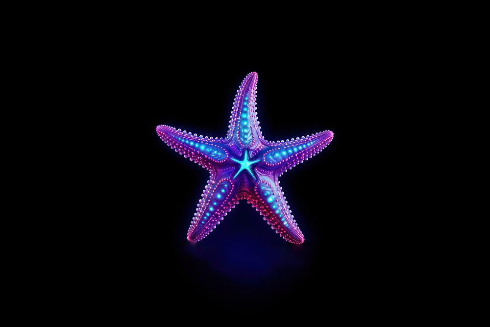 Starfish light neon invertebrate. | Free Photo Illustration - rawpixel