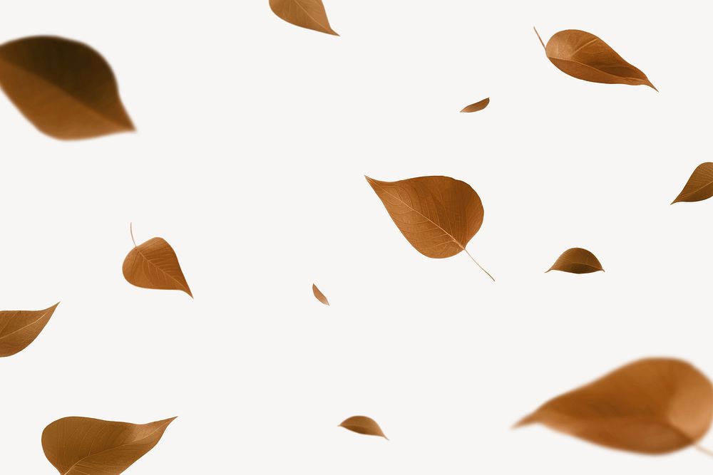 Falling Autumn leaf effect | Free Photo - rawpixel Falling Autumn leaf effect | Free Photo - rawpixel