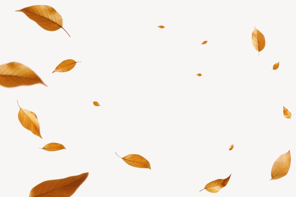 Falling Autumn leaf effect | Free Photo - rawpixel