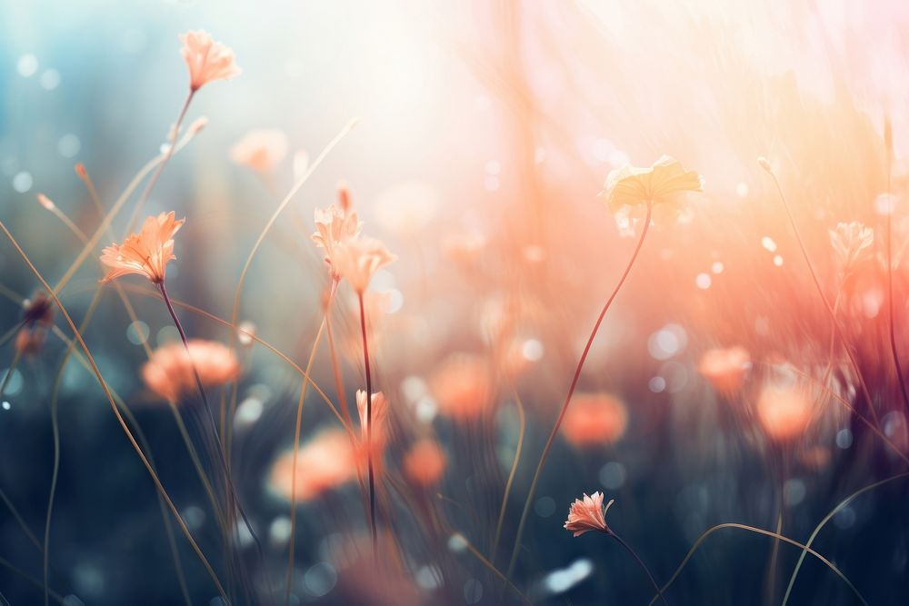 Spring scenes backgrounds sunlight outdoors. | Free Photo - rawpixel