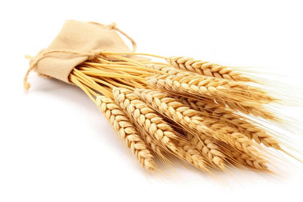 Wheat food white background agriculture. | Premium Photo - rawpixel