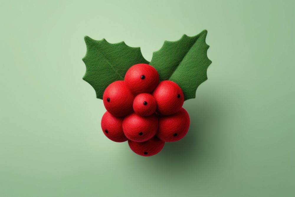 Holly berry fruit plant food. | Premium Photo Illustration - rawpixel