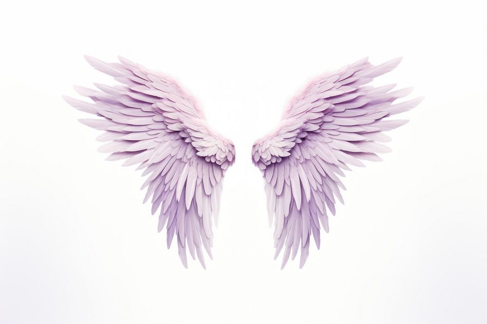 Pastel purple feather angel wings | Free Photo - rawpixel