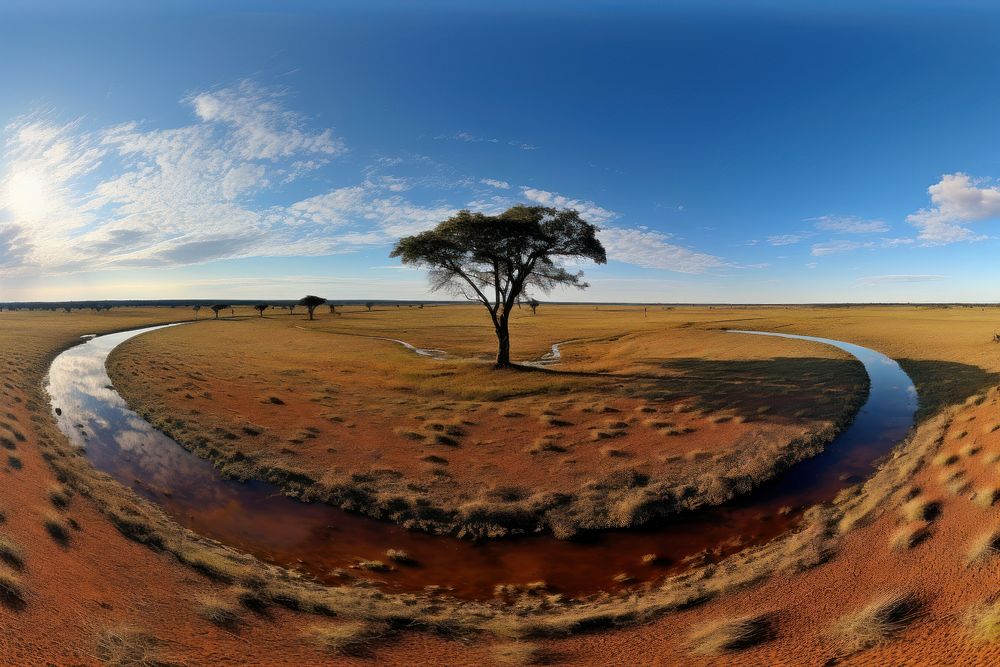 Savannah field landscape outdoors savanna. | Free Photo - rawpixel