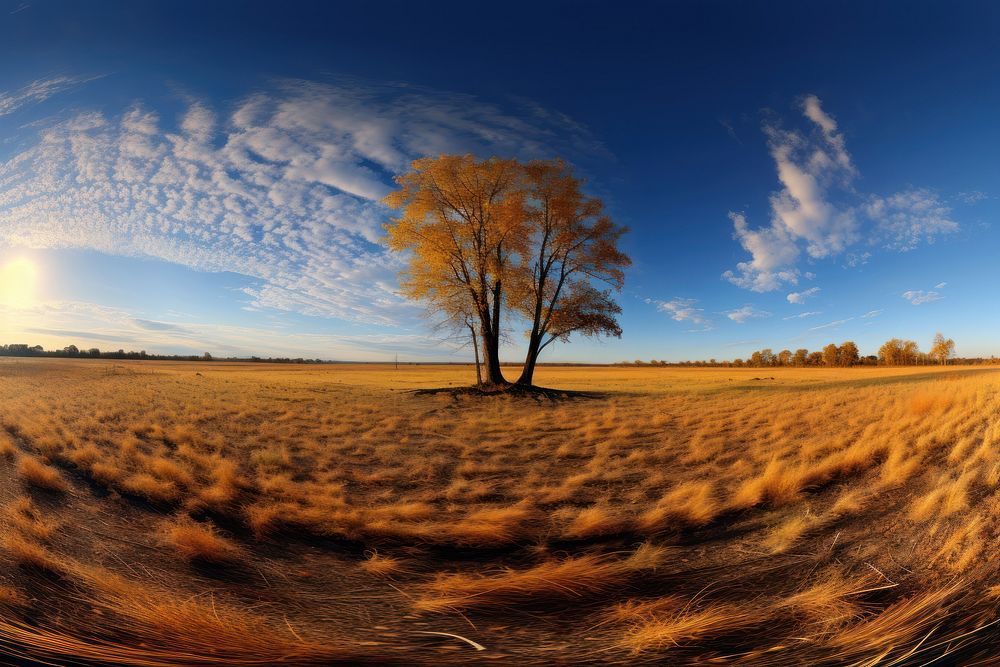 Savannah field landscape panoramic outdoors. | Free Photo - rawpixel