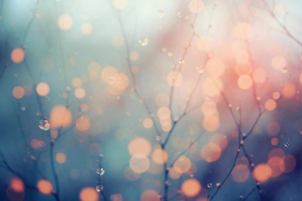 Mist backgrounds outdoors nature. | Free Photo - rawpixel