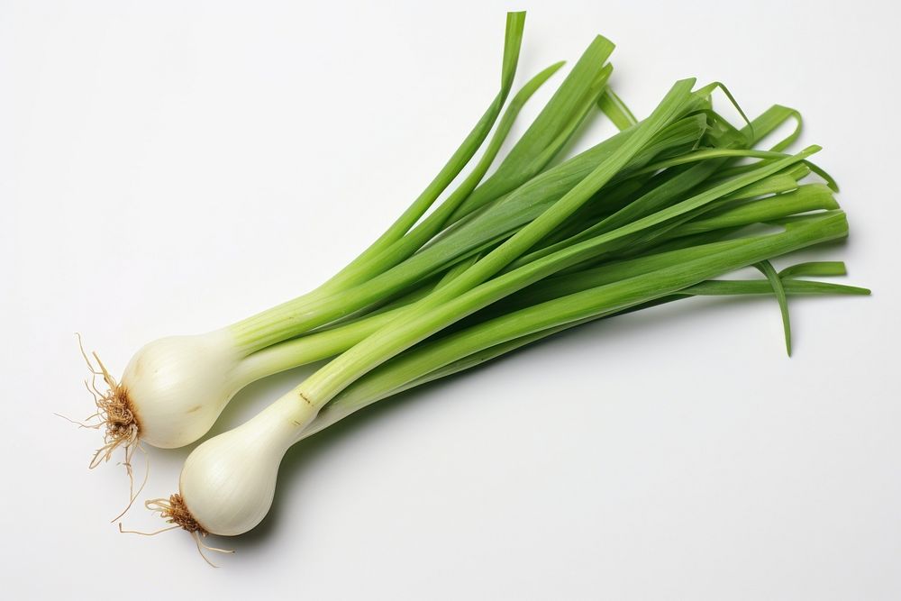 Japanese Scallion vegetable plant food. | Free Photo - rawpixel