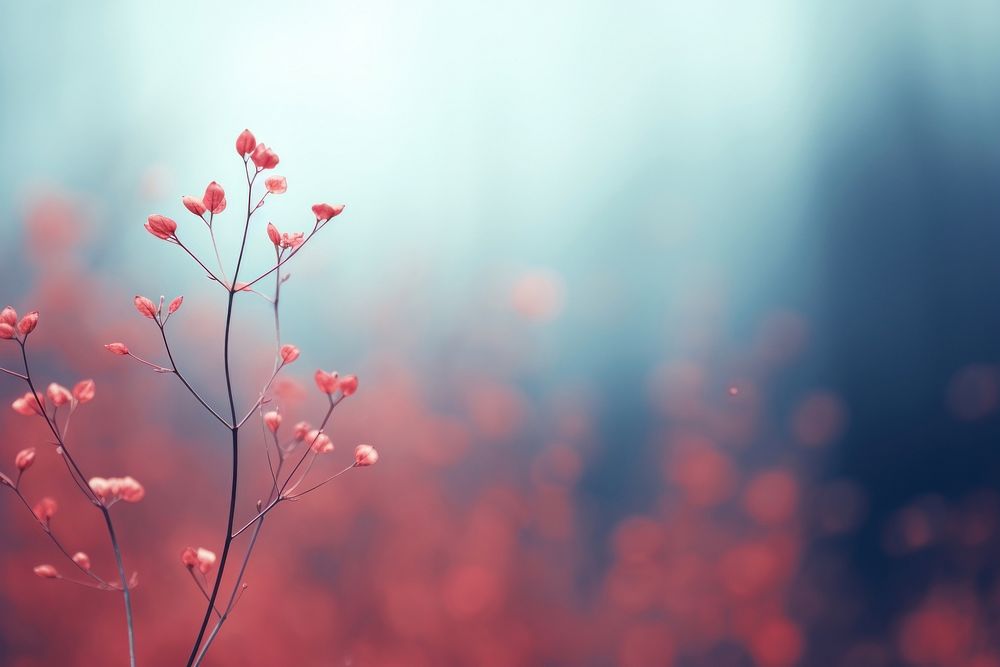Red backgrounds outdoors blossom. AI | Free Photo - rawpixel