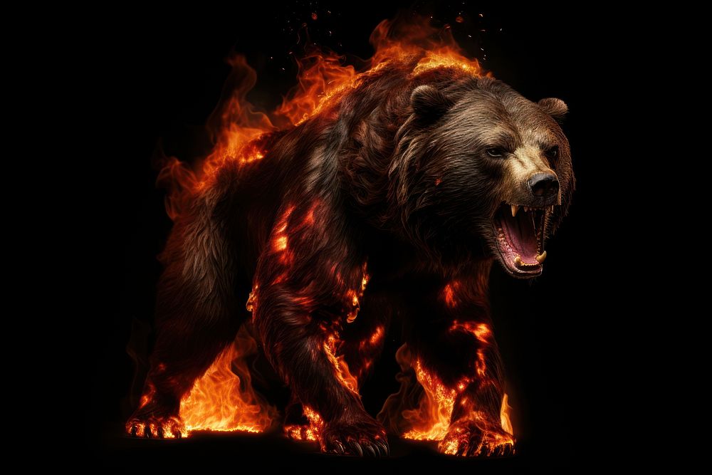 Bear full body bear fire | Free Photo - rawpixel