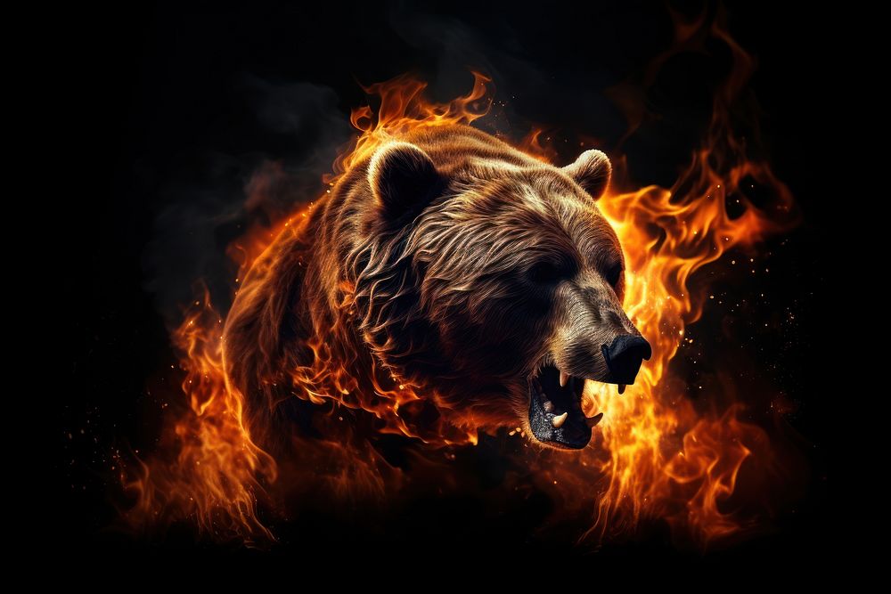 Bear fire bear burning. | Free Photo - rawpixel