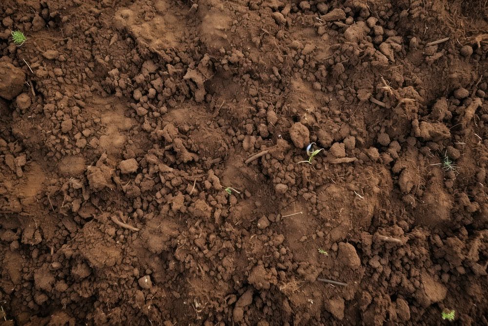 Soil Fertilizer Images | Free Photos, PNG Stickers, Wallpapers ...