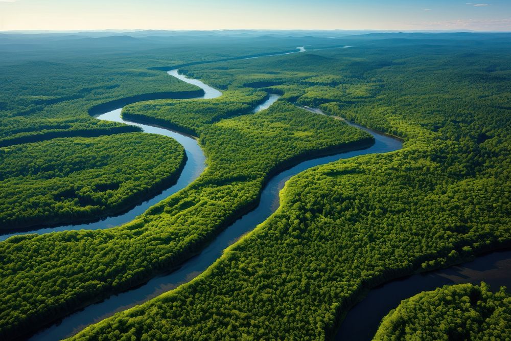 Amazing forrest and long river | Free Photo - rawpixel