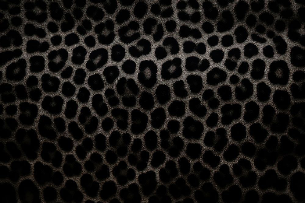 Leopard texture black backgrounds monochrome. | Premium Photo - rawpixel