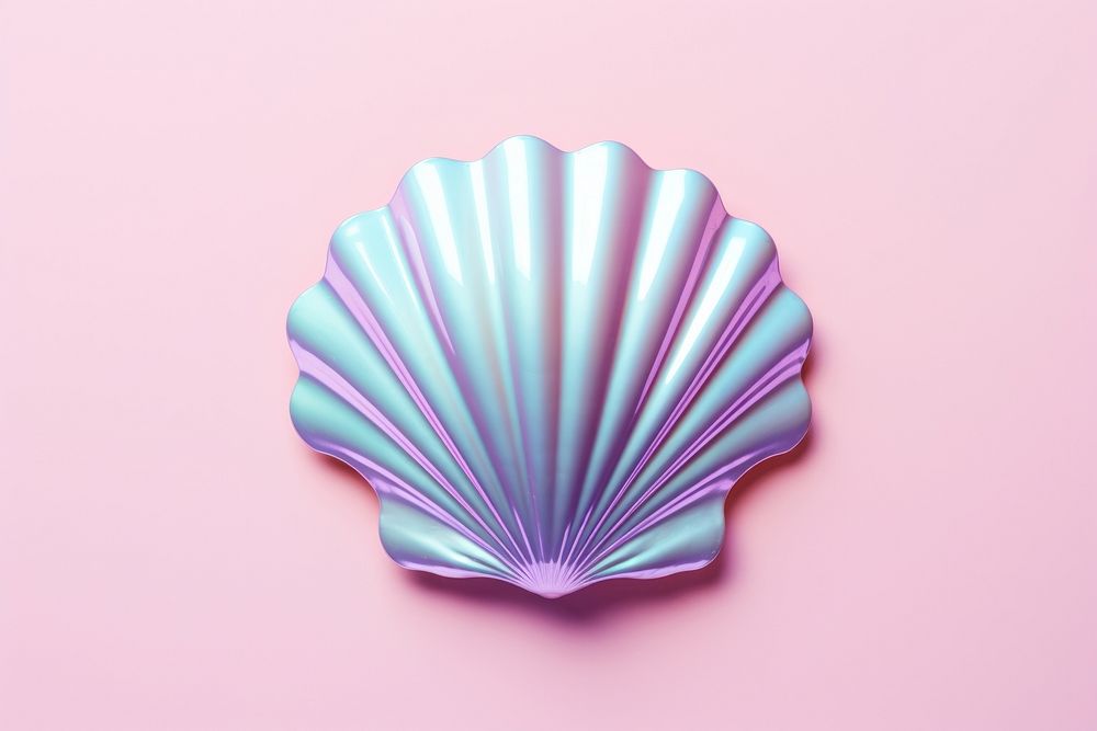Sea shell shape invertebrate seashell | Free Photo Illustration - rawpixel