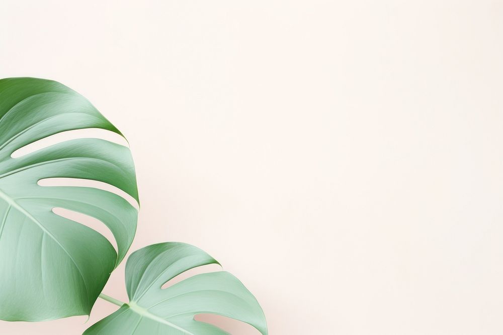 Tropical leave backgrounds plant leaf. | Free Photo - rawpixel