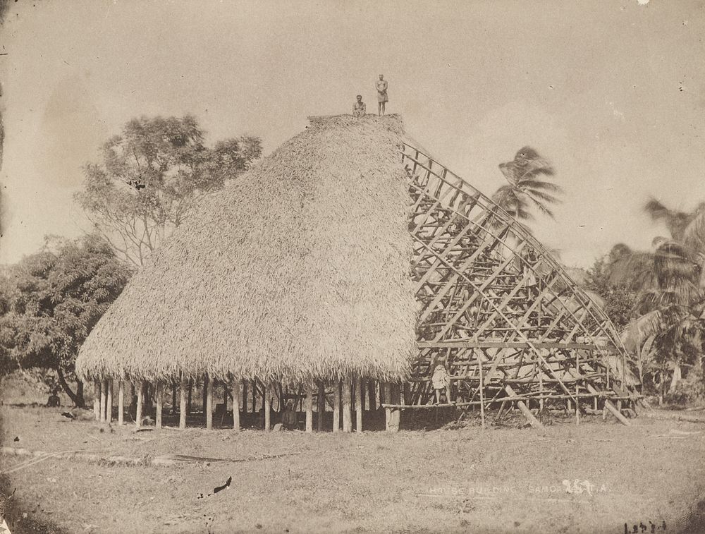 House (fale) building, Samoa. album: | Free Photo - rawpixel