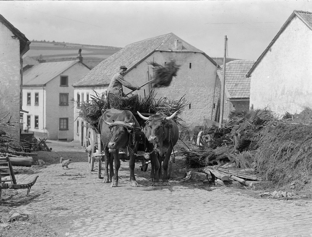 Man unloading wagon (1906-1917) George | Free Photo - rawpixel