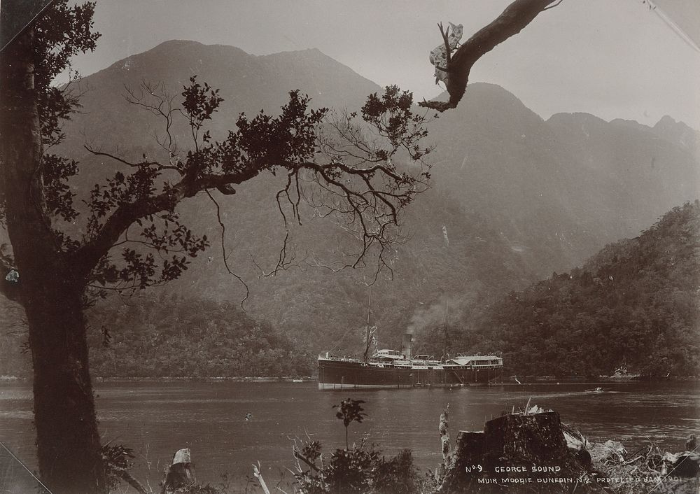 George Sound Muir and Moodie. | Free Photo - rawpixel