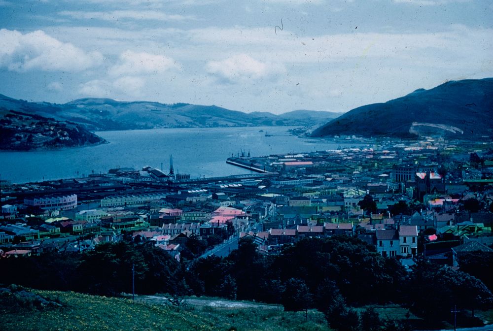 Otago Harbour part Dunedin suburb | Free Photo - rawpixel
