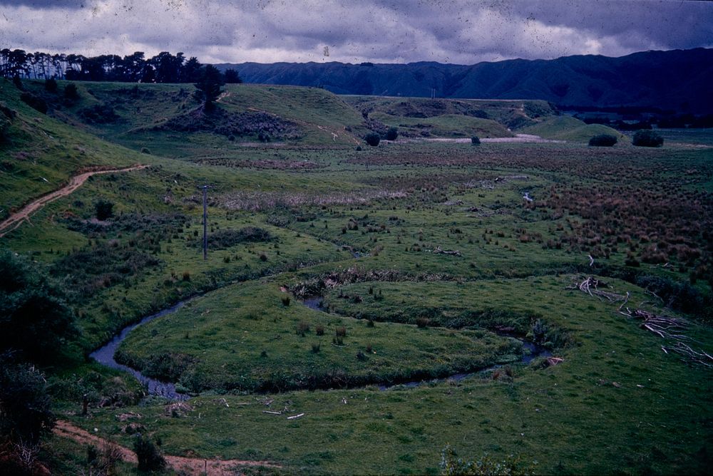 Southern escarpment Ihakara Reserve, Otaki | Free Photo - rawpixel