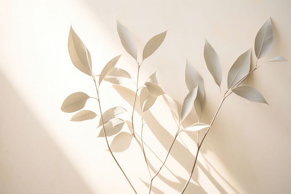 Shadow foliage wall nature plant. | Premium Photo - rawpixel