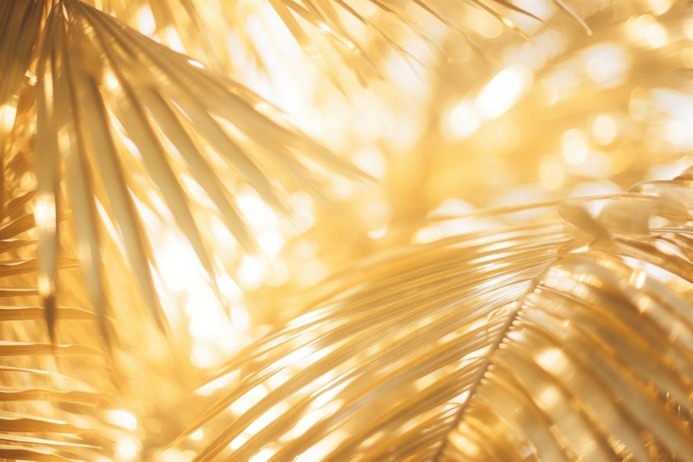 Palm tree texture backgrounds light | Free Photo - rawpixel