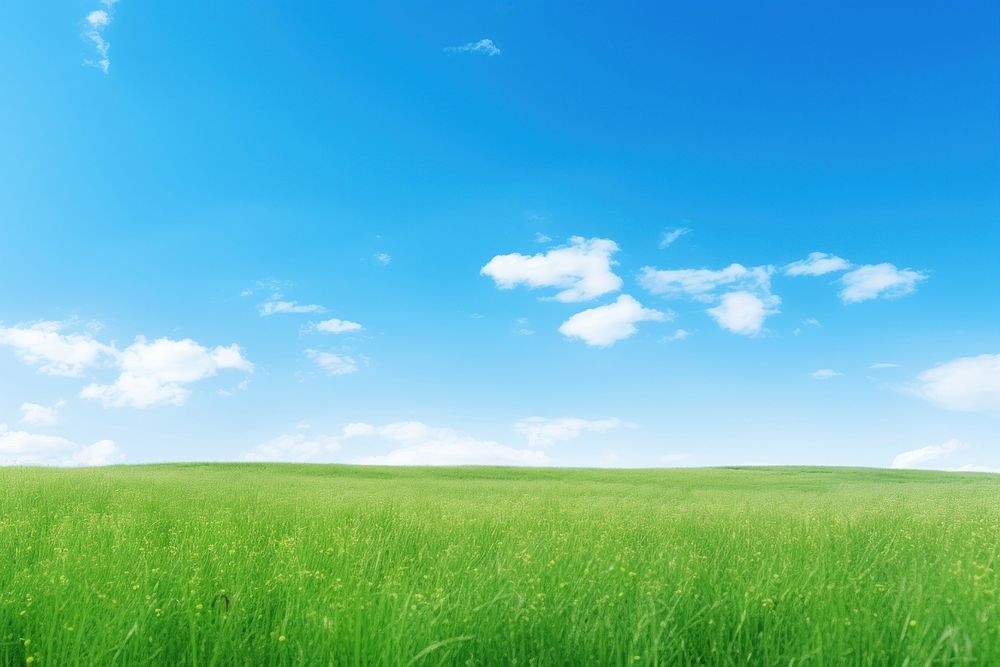 Clear lawn sky backgrounds landscape. | Premium Photo - rawpixel