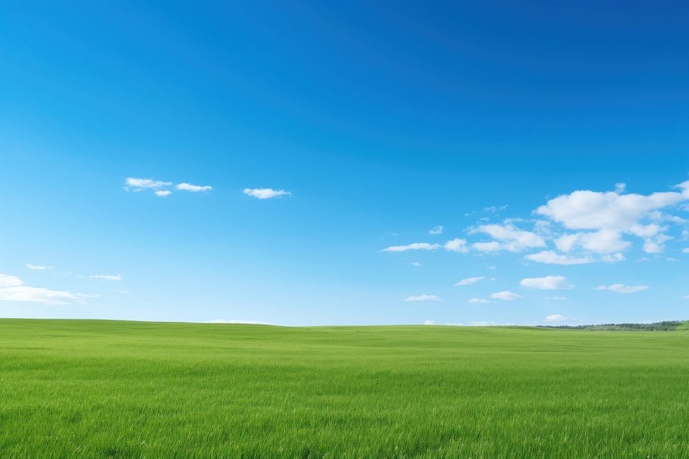 Clear lawn landscape sky backgrounds. | Premium Photo - rawpixel