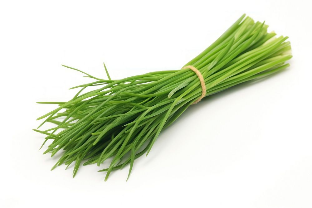 Some fresh chives vegetable plant | Free Photo - rawpixel