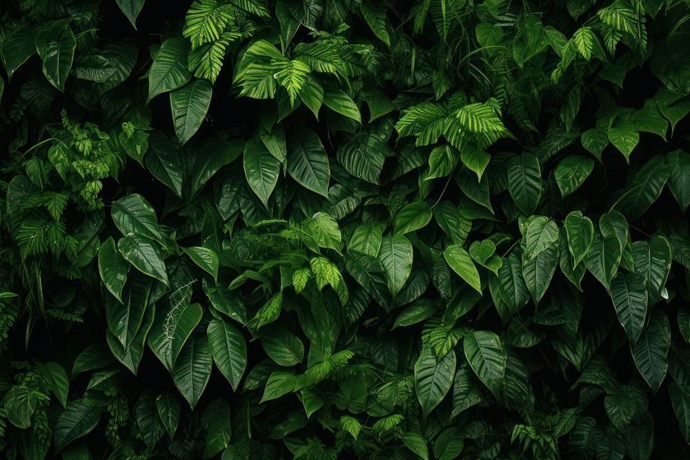 Greenery plants background backgrounds leaf | Premium Photo - rawpixel